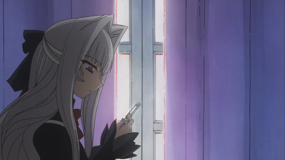 Anju Maaka/Gallery/Anime | Chibi Vampire or Karin Wiki | Fandom