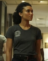 Emily Foster | One Chicago & The FBIs Wiki | Fandom