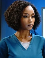 April Sexton | One Chicago & The FBIs Wiki | Fandom