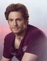 Will Halstead | One Chicago & The FBIs Wiki | Fandom