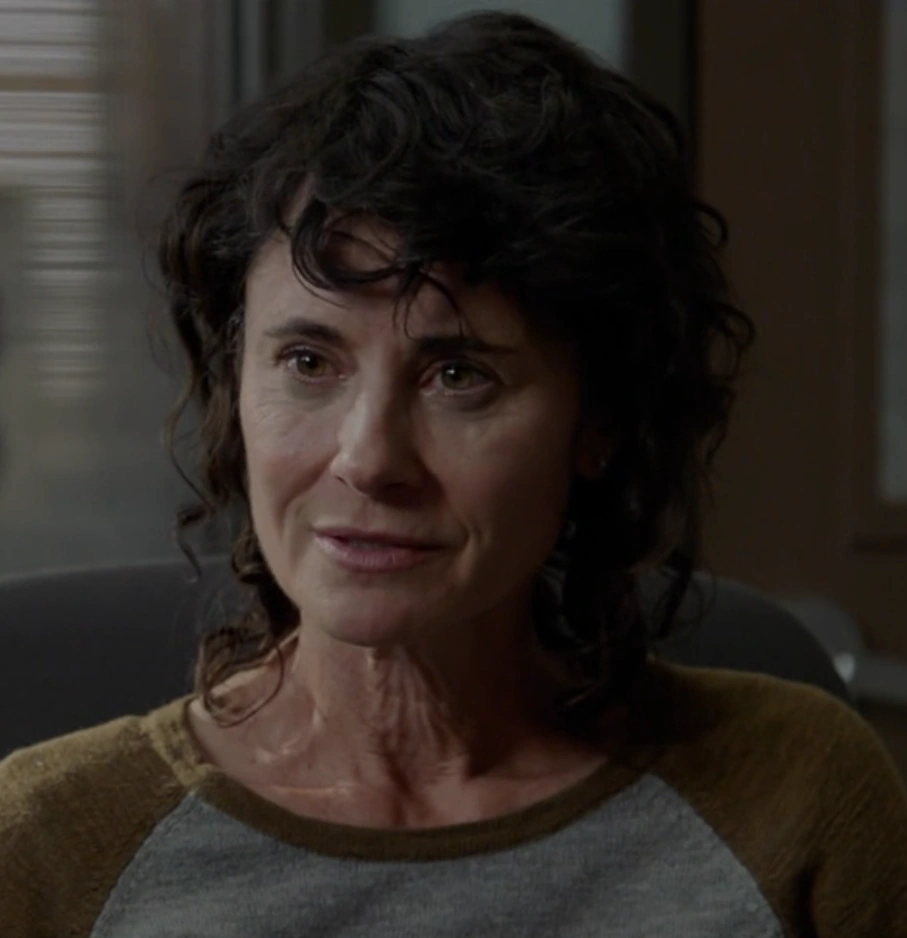 Diane Harrison | Chicago PD Wiki | Fandom