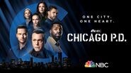 Season 9 | Chicago PD Wiki | Fandom