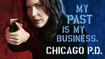 Season 1 | Chicago PD Wiki | Fandom