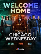 Season 11 | Chicago PD Wiki | Fandom