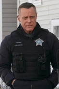 Hank Voight | Chicago PD Wiki | Fandom