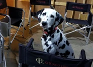 Tuesday | Chicago Fire Wiki | Fandom