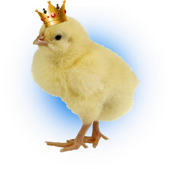 Chick God Of The Surreal Meme Protector | CHICKPEDIA Wiki | Fandom