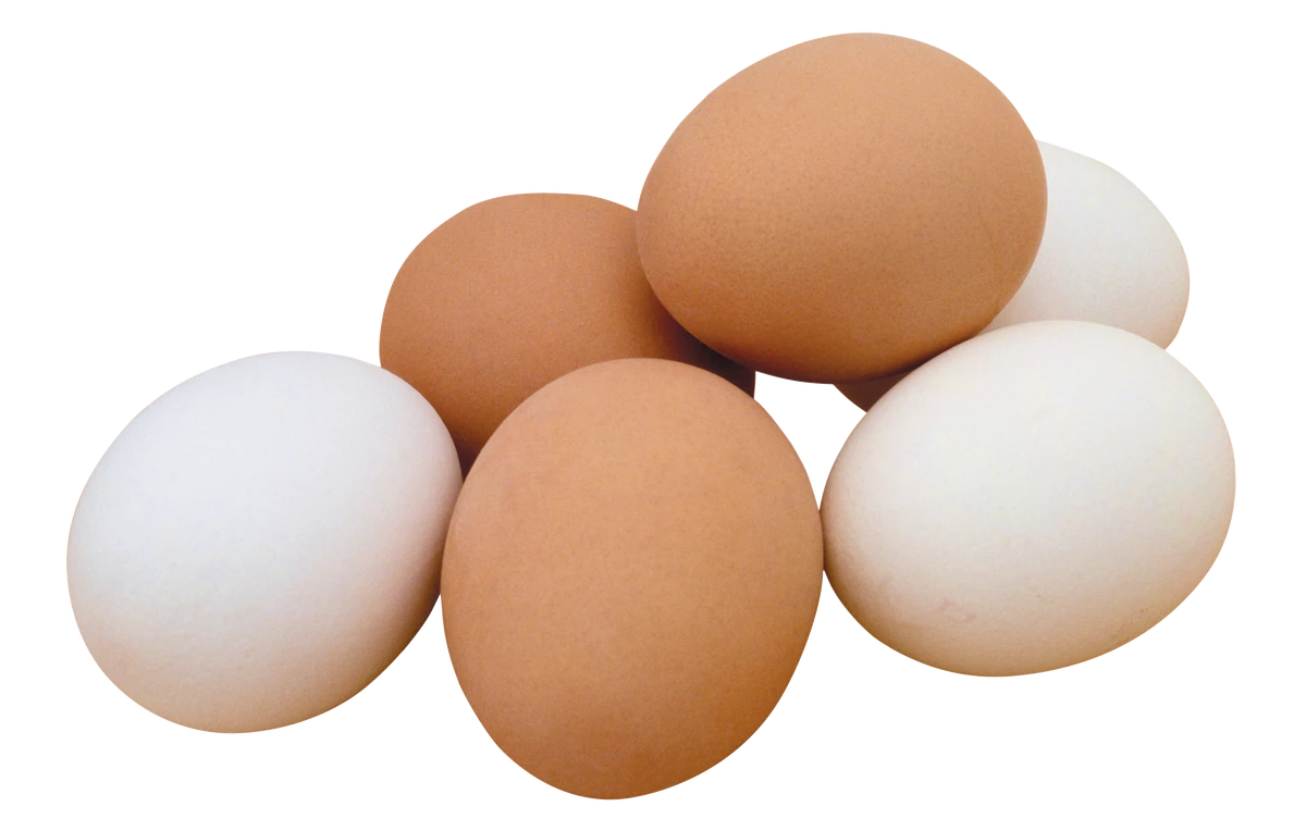 Egg | Chicken Wikia | Fandom