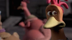 Chicken Run Rocky