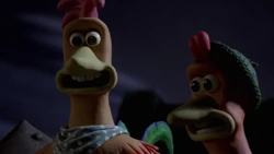 Chicken Run Rocky