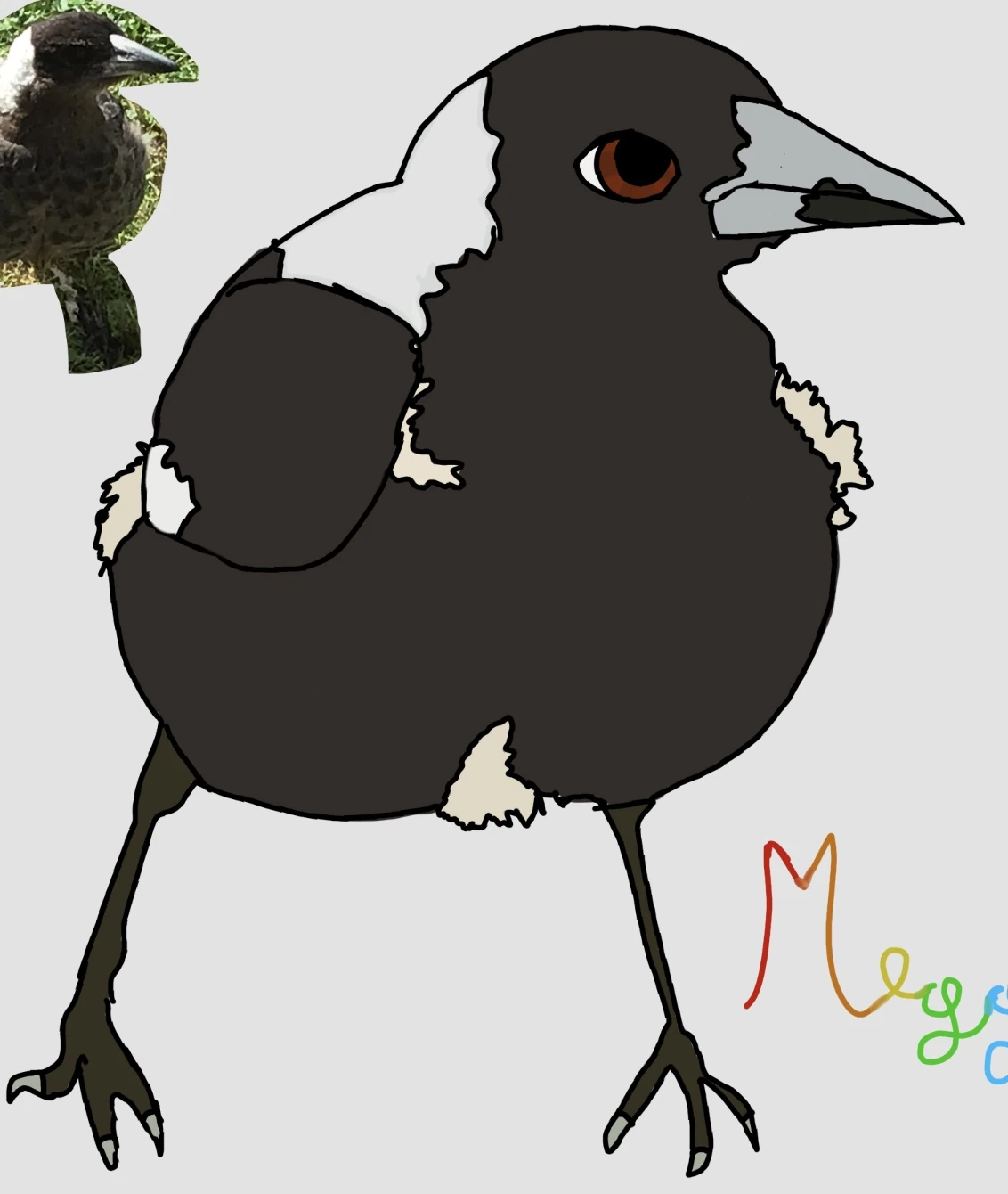 Maggo | Chickii's ocs Wiki | Fandom