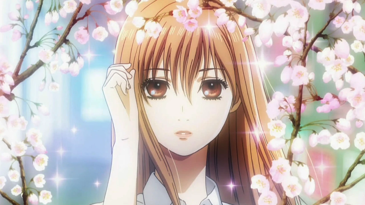 Episode Guide | Chihayafuru Wiki | Fandom
