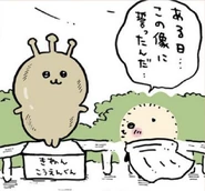 Rakko/Gallery | Chiikawa Wiki | Fandom