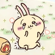 Usagi/Gallery | Chiikawa Wiki | Fandom