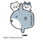 Secondary Characters | Chiikawa Wiki | Fandom