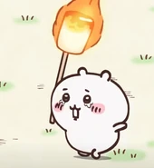 Chiikawa/Gallery | Chiikawa Wiki | Fandom