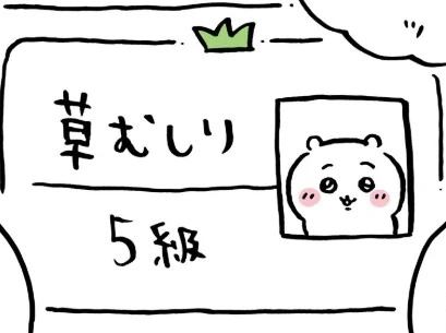 Licenses | Chiikawa Wiki | Fandom