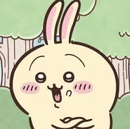 Usagi/Gallery | Chiikawa Wiki | Fandom