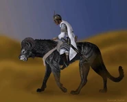 Inan Olúborí | Children of Blood and Bone Wiki | Fandom