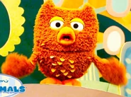 Meet the Pajanimals Characters | Children's Music Group Wiki | Fandom