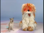 List of Elmo's World Episodes | Children's Music Group Wiki | Fandom