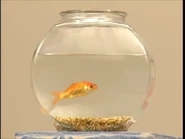 List of Elmo's World Episodes | Children's Music Group Wiki | Fandom