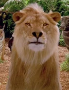 Meet the George of the Jungle (Live Action) Characters | Children's ...