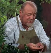 Meet the Disney Sing Along Songs Characters | Children's Music Group ...