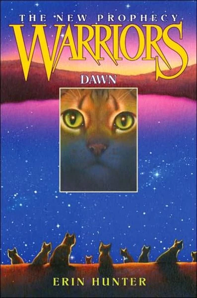 Dawn | Children's Books Wiki | Fandom