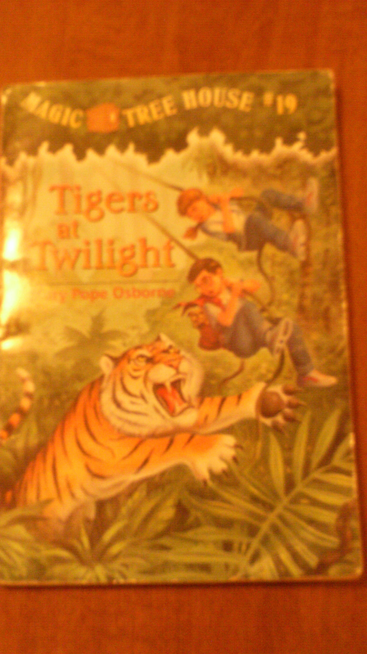 Tigers at Twilight | Children's Books Wiki | Fandom