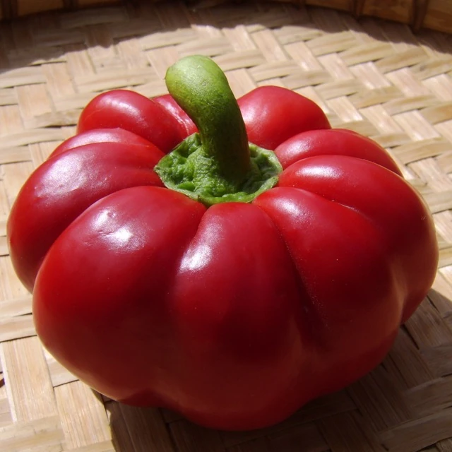 Pimento | Chili Peppers Wiki | Fandom