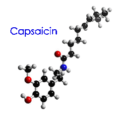 Capsaicin | Chili Peppers Wiki | Fandom