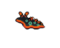 Sea Slug | Chillquarium Wiki | Fandom