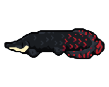 Arapaima | Chillquarium Wiki | Fandom