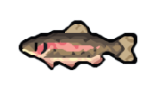 Rainbow Trout | Chillquarium Wiki | Fandom