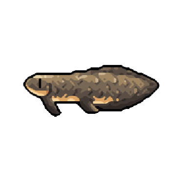 Australian Lungfish | Chillquarium Wiki | Fandom