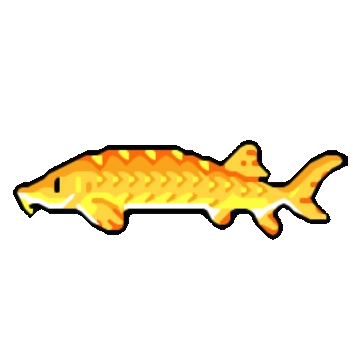 Sturgeon | Chillquarium Wiki | Fandom