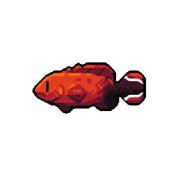 V Tail Grouper | Chillquarium Wiki | Fandom