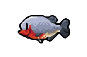 Piranha | Chillquarium Wiki | Fandom