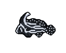 Spotted Ribbonfish | Chillquarium Wiki | Fandom