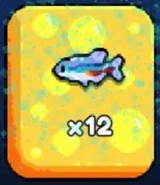 Chillquarium Wiki | Fandom