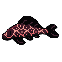 Pleco | Chillquarium Wiki | Fandom