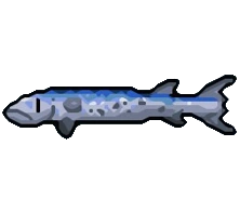 Barracuda | Chillquarium Wiki | Fandom