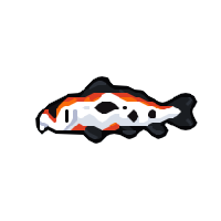 Koi | Chillquarium Wiki | Fandom