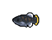 Tequila Splitfin | Chillquarium Wiki | Fandom