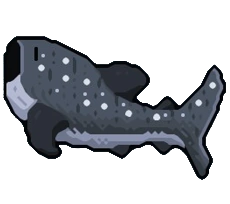 Whale Shark | Chillquarium Wiki | Fandom