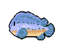 Lumpfish | Chillquarium Wiki | Fandom