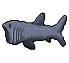 Basking Shark | Chillquarium Wiki | Fandom