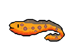 Moray Eel | Chillquarium Wiki | Fandom