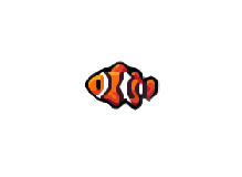 Clownfish | Chillquarium Wiki | Fandom